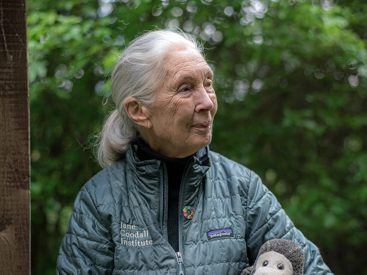 What religion was Jane Goodall? - Beliefnet