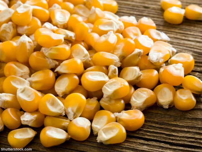 Southern Creamed Corn - Beliefnet