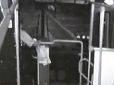 Bible Stops Two Bullets to Save Bus Drivers Life - Beliefnet