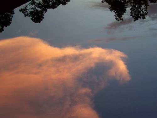 Your Angel Sightings - Beliefnet